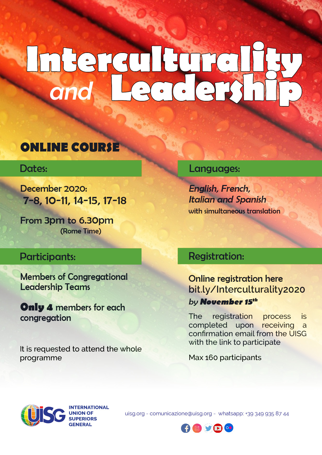 Online Course: Interculturality and Leadership - International Union ...